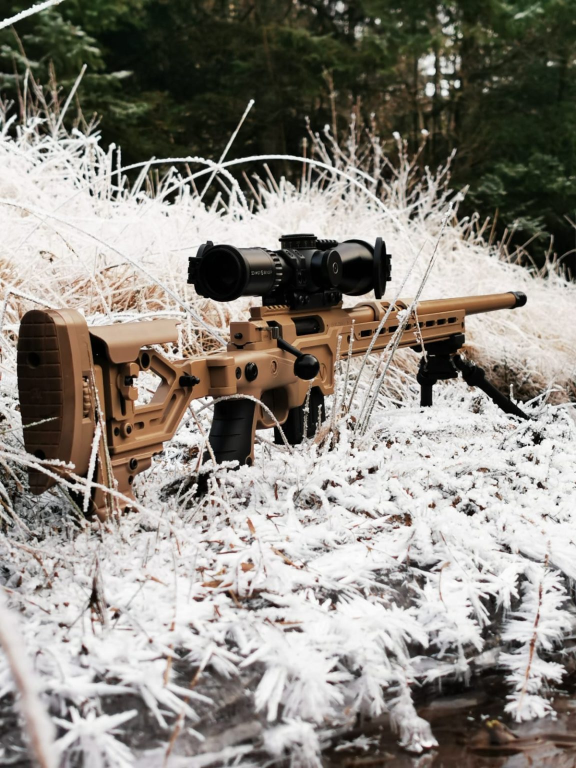 Vision Australia / Accuracy Obsession Accuracy International AI AW/AT ...